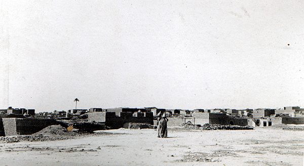 1907 Oligocene of Egypt